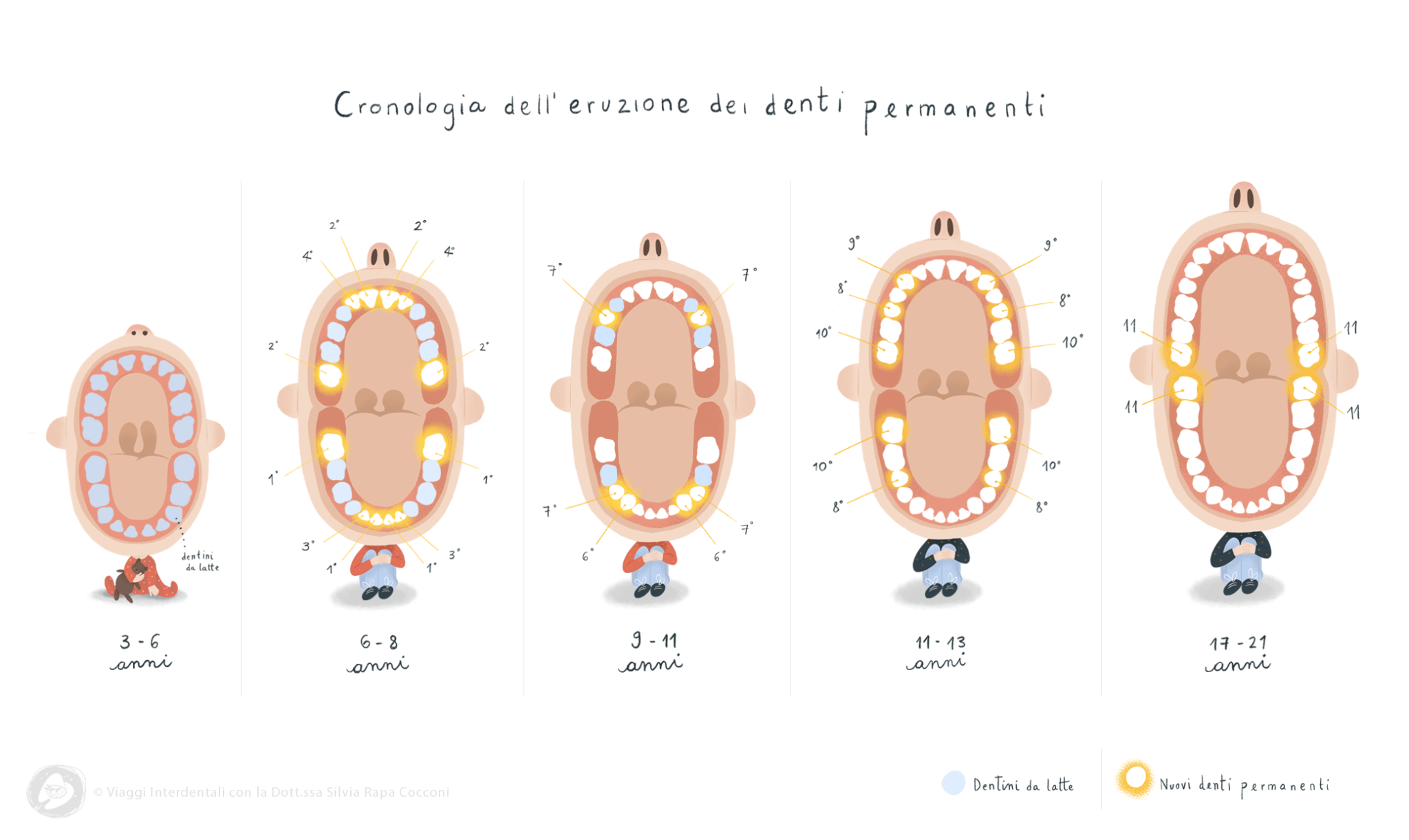 La permuta dei denti – Viaggi Interdentali
