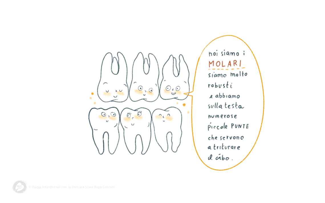 I Molari – Viaggi Interdentali